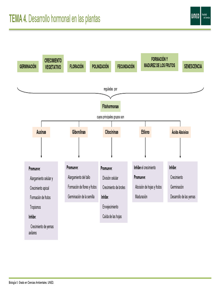 Mapa_conceptual_TEMA_4 | PDF