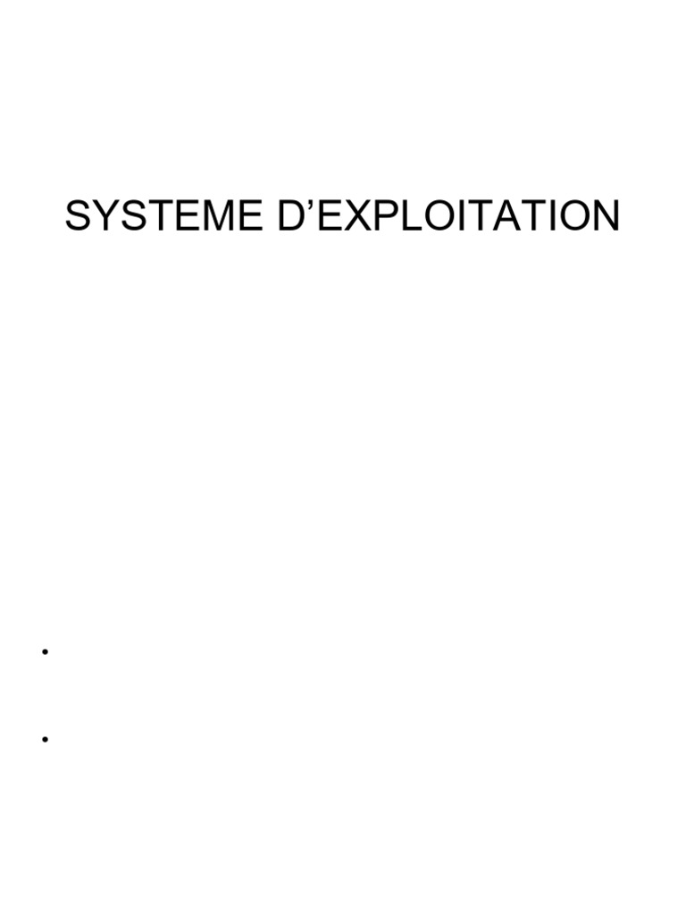 Système D Exploitation Pdf