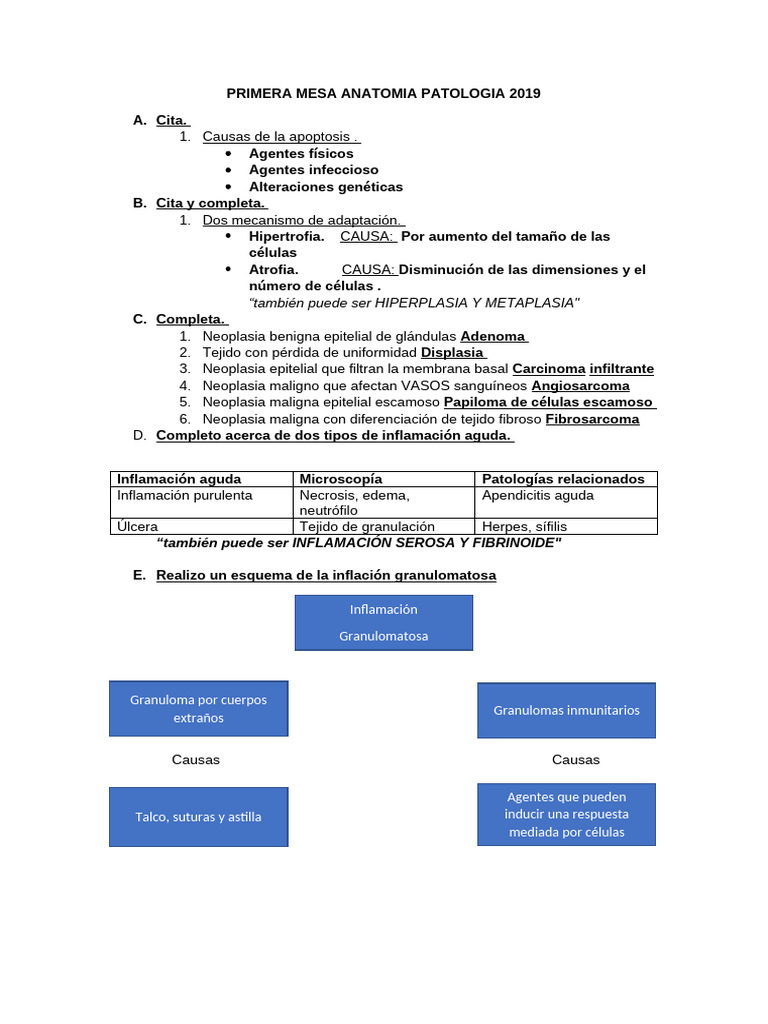 1ra Mesa Anato Pato 2019 | PDF