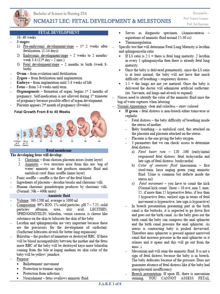 WK4 - Fetal Development & Milestones | PDF