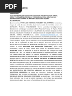 Modelo de Poder Especial en Venezuela | PDF | Abogado | Gobierno