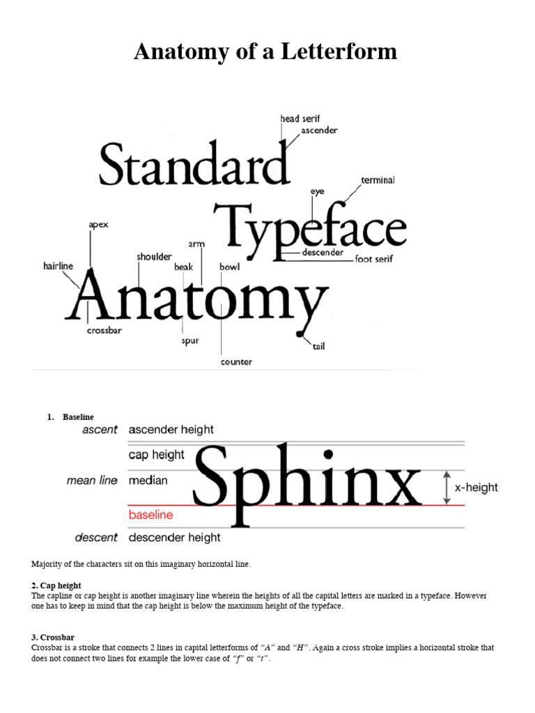 Anatomy of The Letterform E | PDF