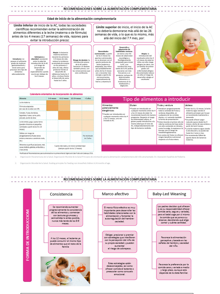 RECOMENDACIONES+SOBRE+LA+ALIMENTACIÓN+COMPLEMENTARIA | PDF