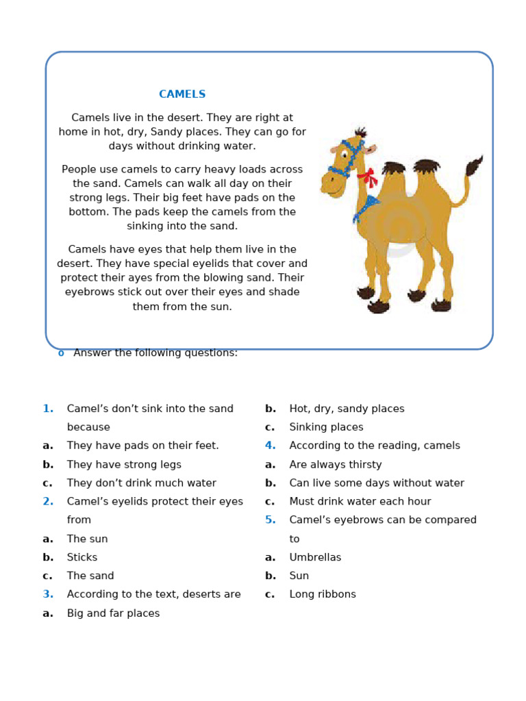 Camels Reading Comprehension | PDF | Science & Mathematics