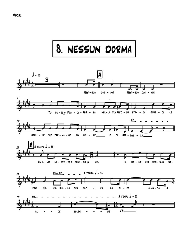 Nessun Dorma (Vocal Chart) | PDF
