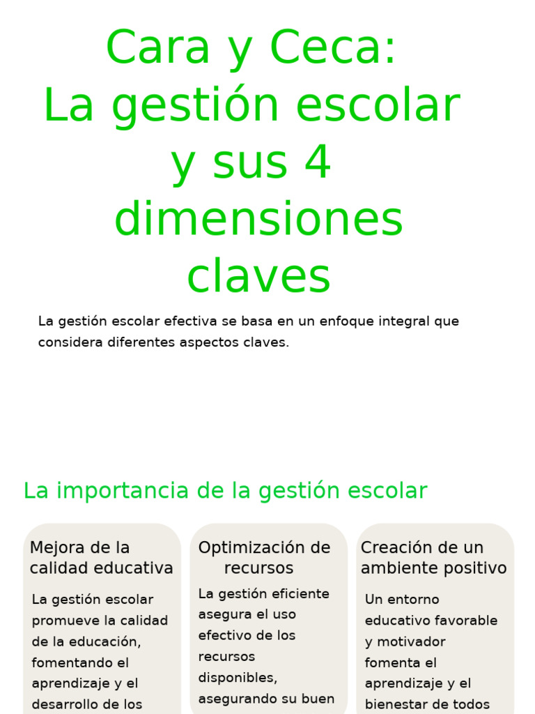 Cara y Ceca-4 Dimensiones La Gestion Escolar | PDF