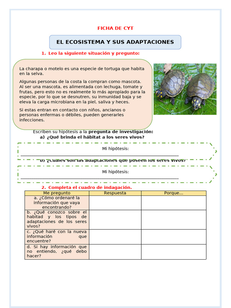 FICHA CYT 16 Oct | PDF