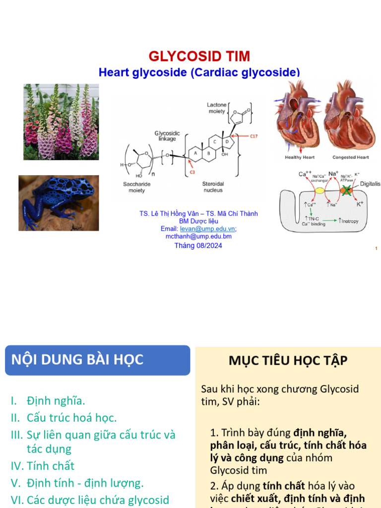 2024_Dai Cuong Glycosid Tim | PDF