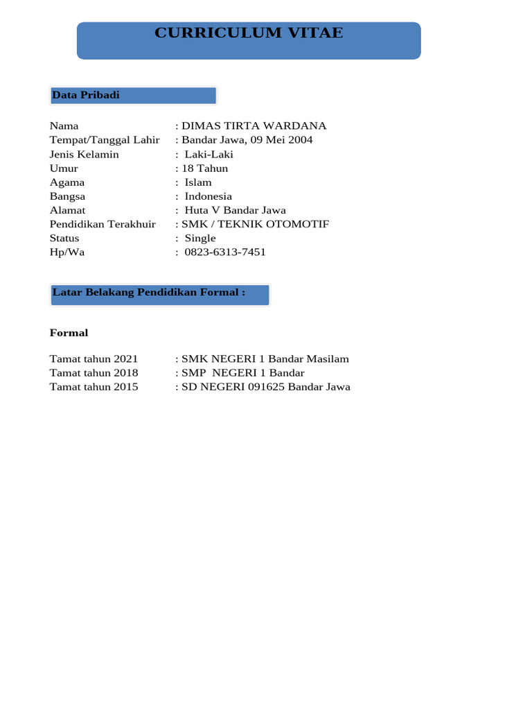 CV Curiculum Vitae NEW | PDF