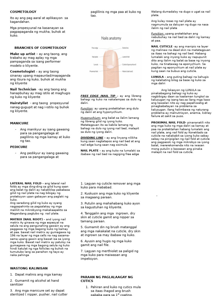 COSMETOLOGY Printable | PDF | Nail (Anatomy) | Foreign Language Studies