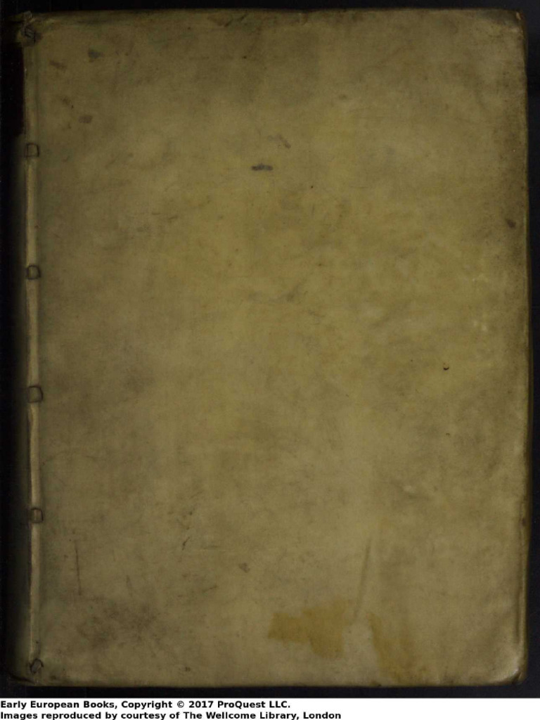 Selvatico Tractatus Duo de Materia Turgente 1600 | PDF