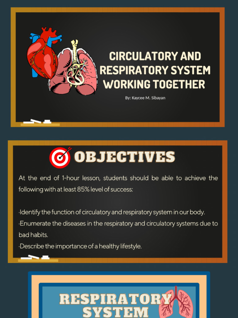 Circulatory and Respiratory System Working Together | PDF