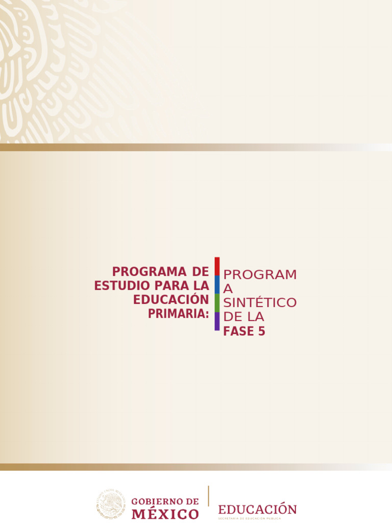 Programa Sintetico Fase 5 | PDF