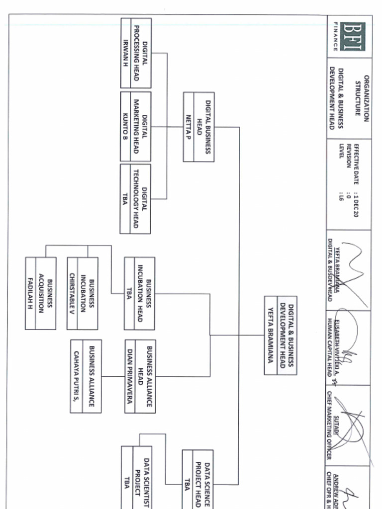 Ochart Digital & Business Development | PDF
