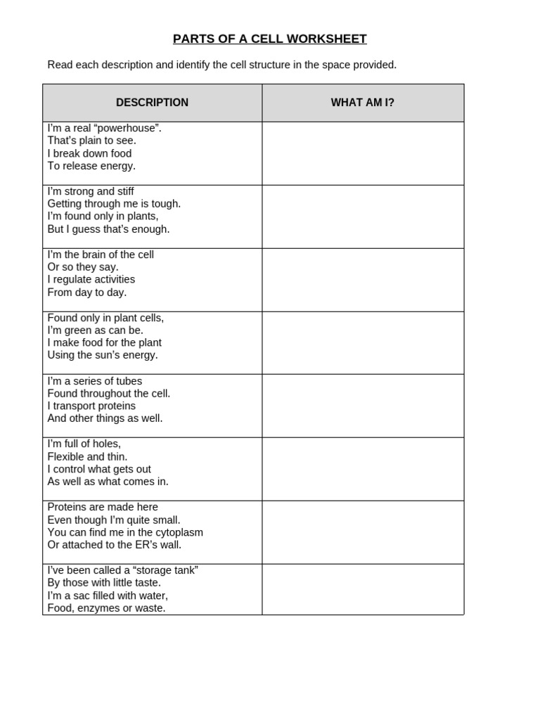 PARTS OF A CELL WORKSHEET and Diagram | PDF