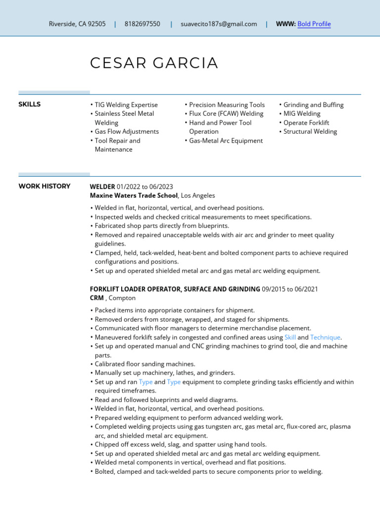Cesar Garcia Resume | PDF