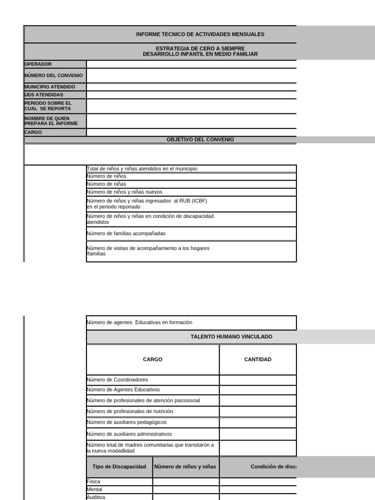 FORMATO INFORME TECNICO | PDF