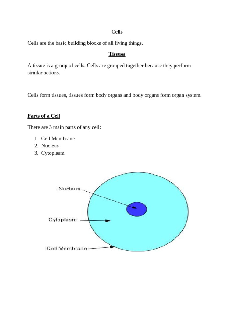 09 Cells | PDF