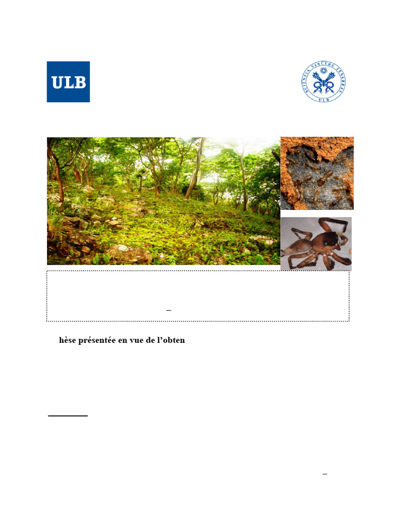 Ecol - Termites - Role - Termitieres - Biodiv - Foret - Claire - Miombo ...