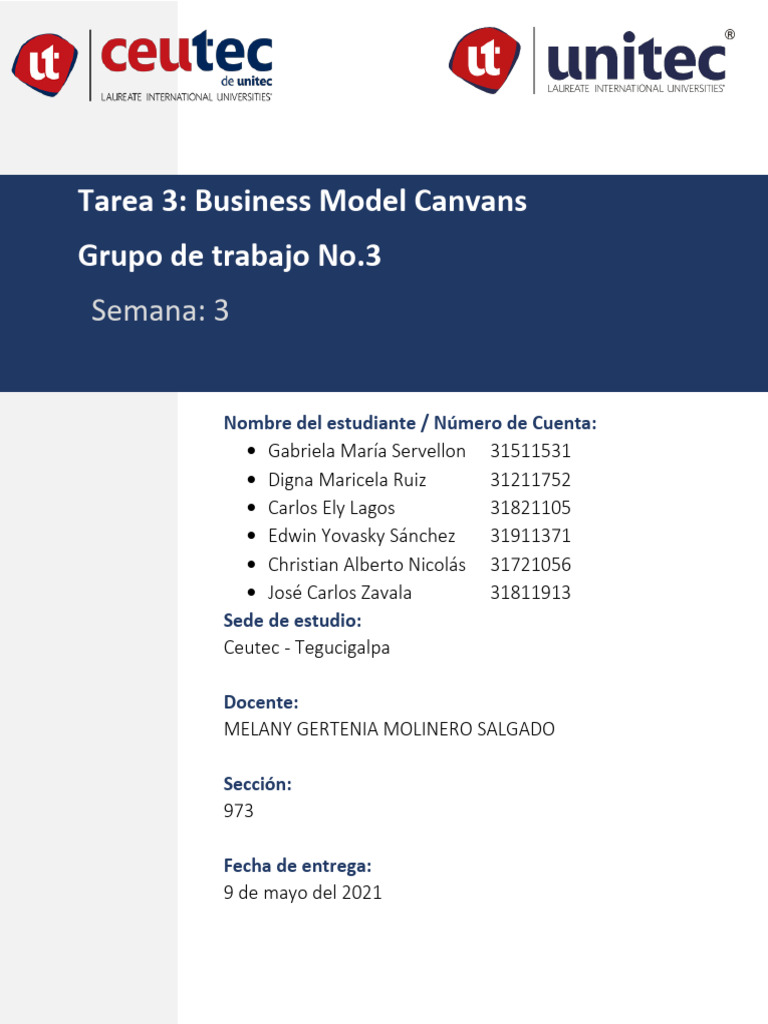 Tarea3.1 Business Model Canvans Grupo3 | PDF