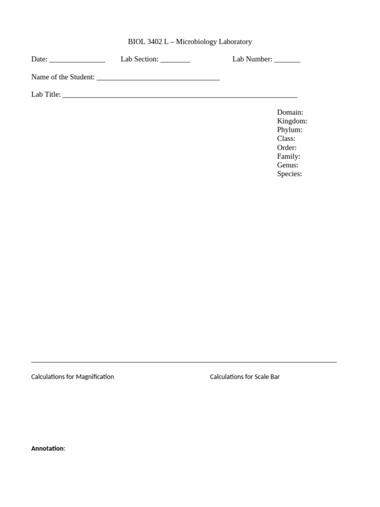 Drawing Sheet Template | PDF