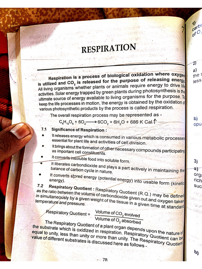 Respiration | PDF