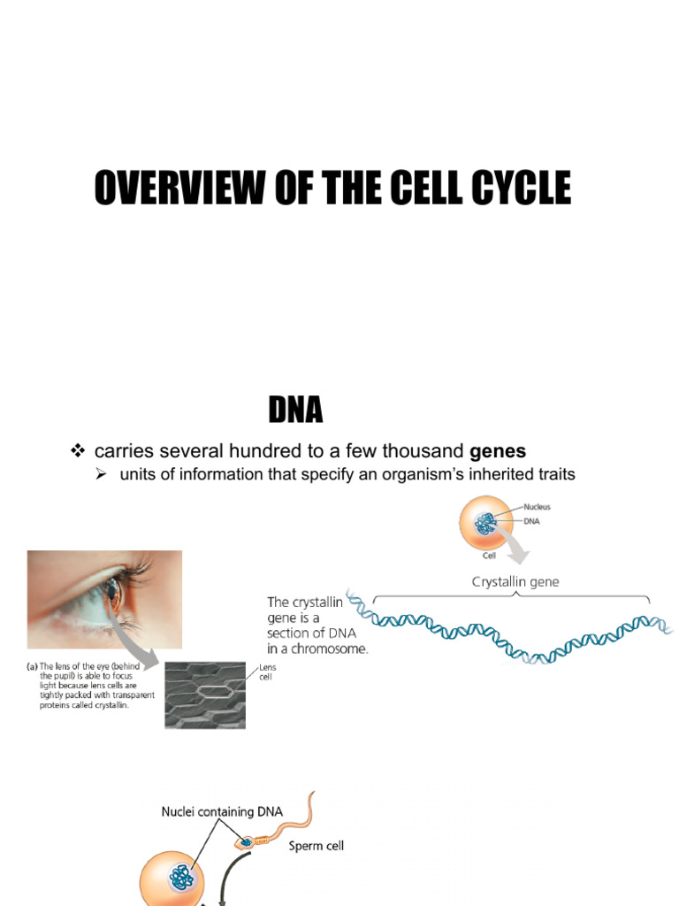 CHAPTER II Part 2 | PDF