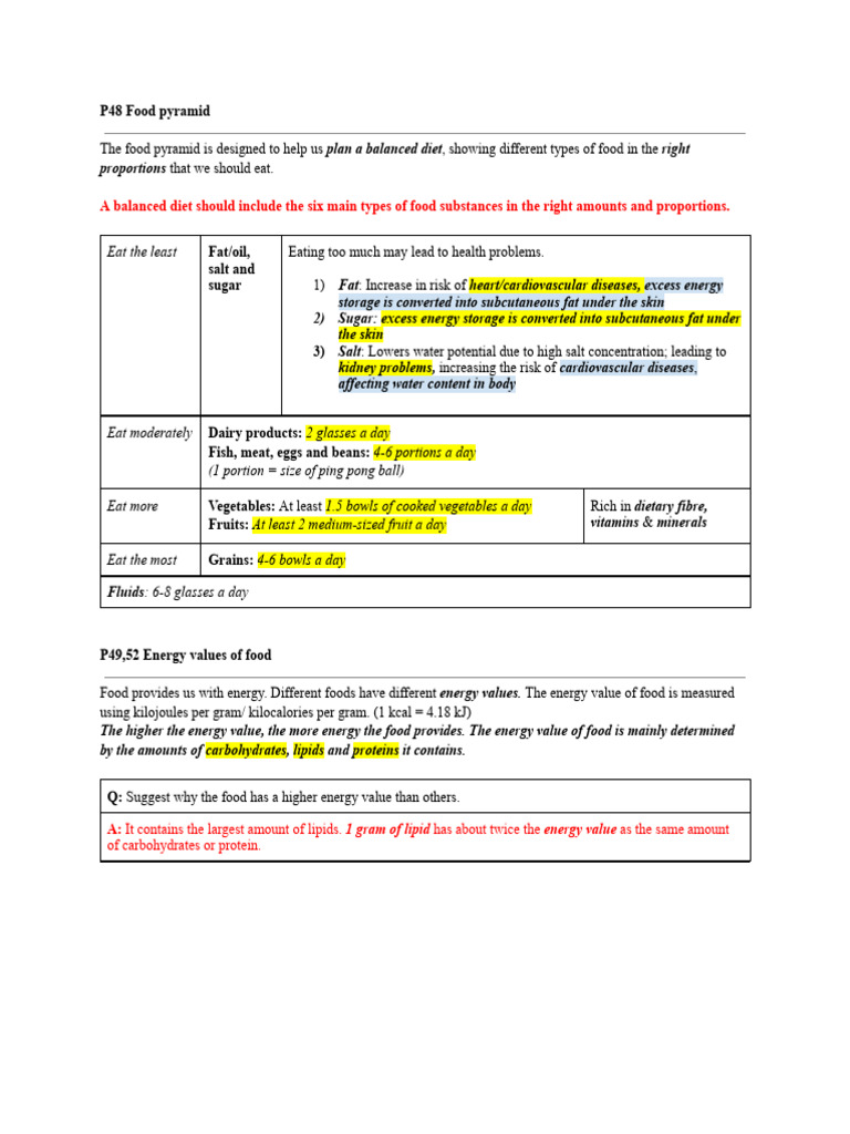 Food Pyramid and Energy Values Biology s3 | PDF