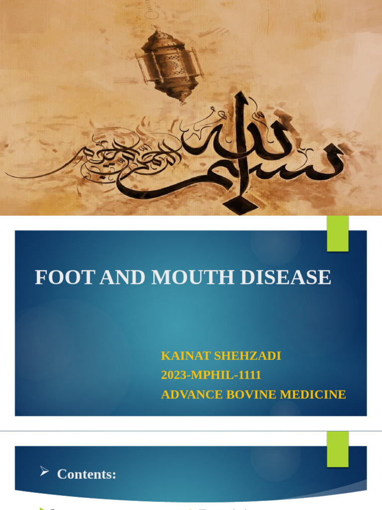 2-Footh and Mouth Disease 222-2 | PDF