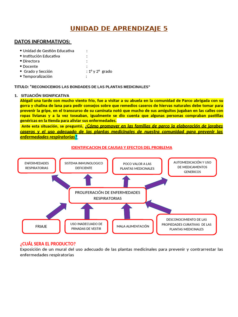 C9 DIFODS Unidad de Aprendizaje | PDF