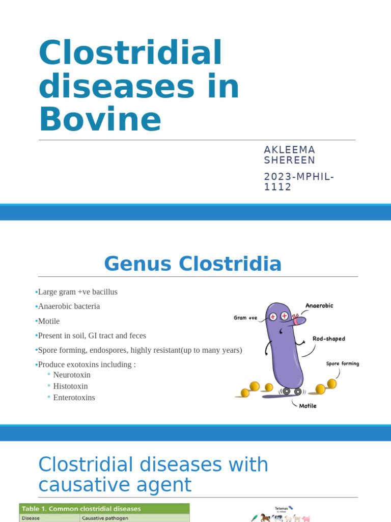 6-Clostridial Diseases II | PDF