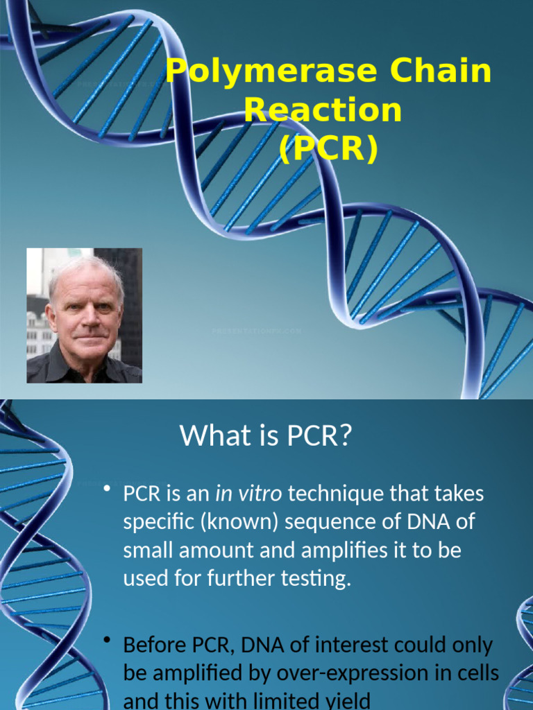 Polymerase Chain Reaction (PCR) | PDF