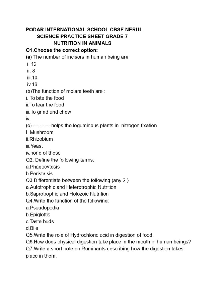 Nutrition in Animals Revision Sheet | PDF
