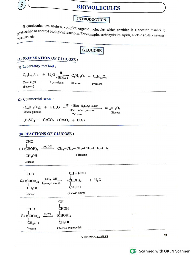 Biomolecules and Polymers Reactions | PDF