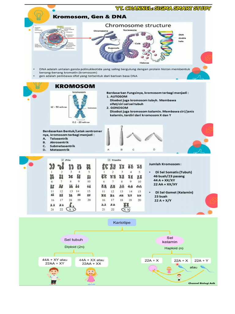 BAB 3 MATERI GENETIK KELAS 12 | PDF