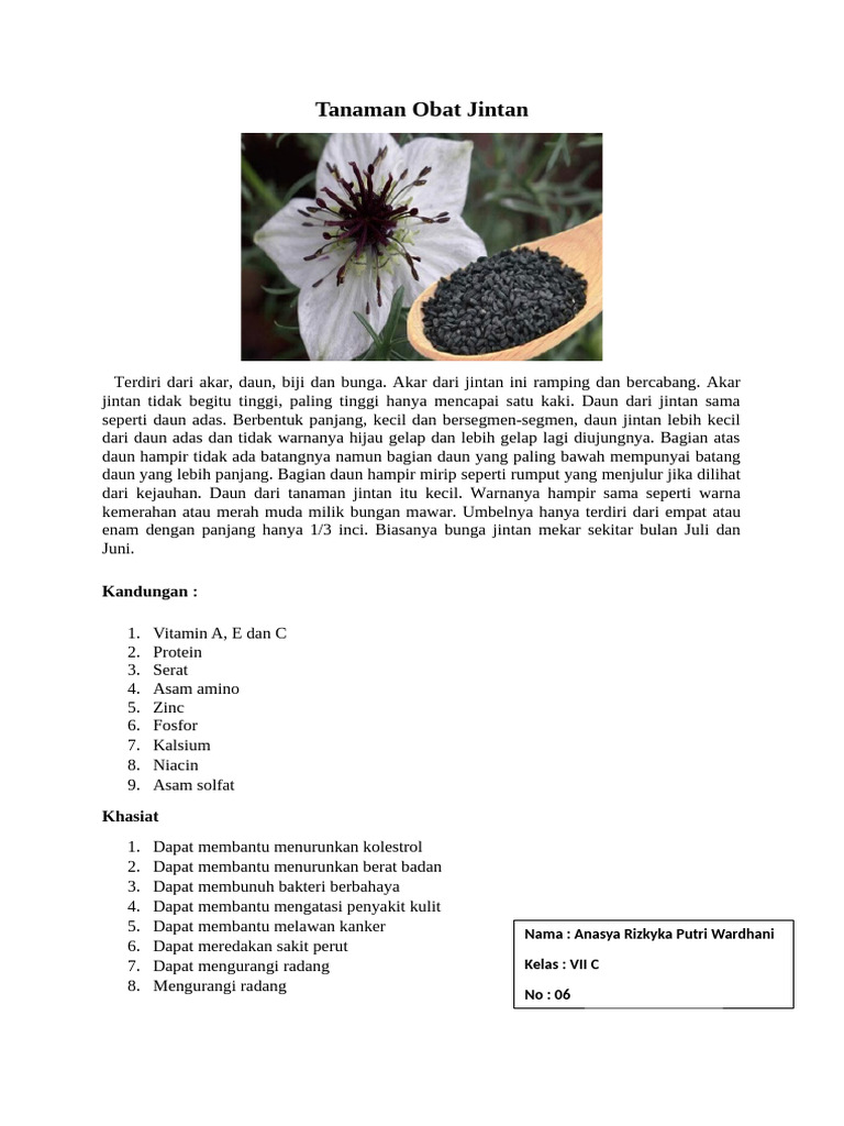 Tanaman Obat Jintan.2 | PDF