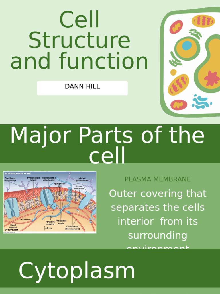 Lesson 2 - Cell Structure and Function | PDF