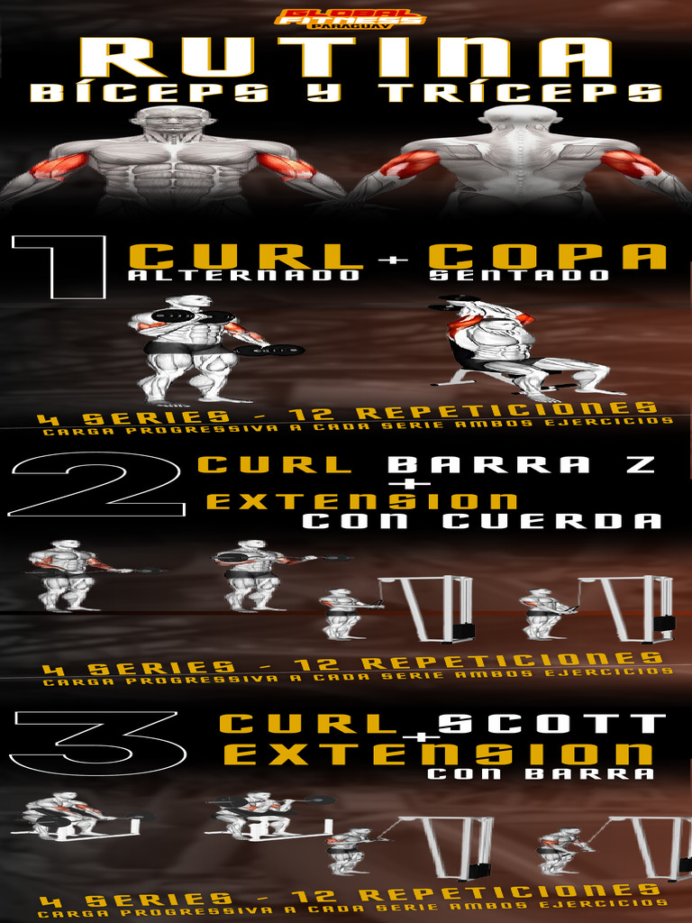 Rutina de Biceps y Triceps Global Fitness | PDF