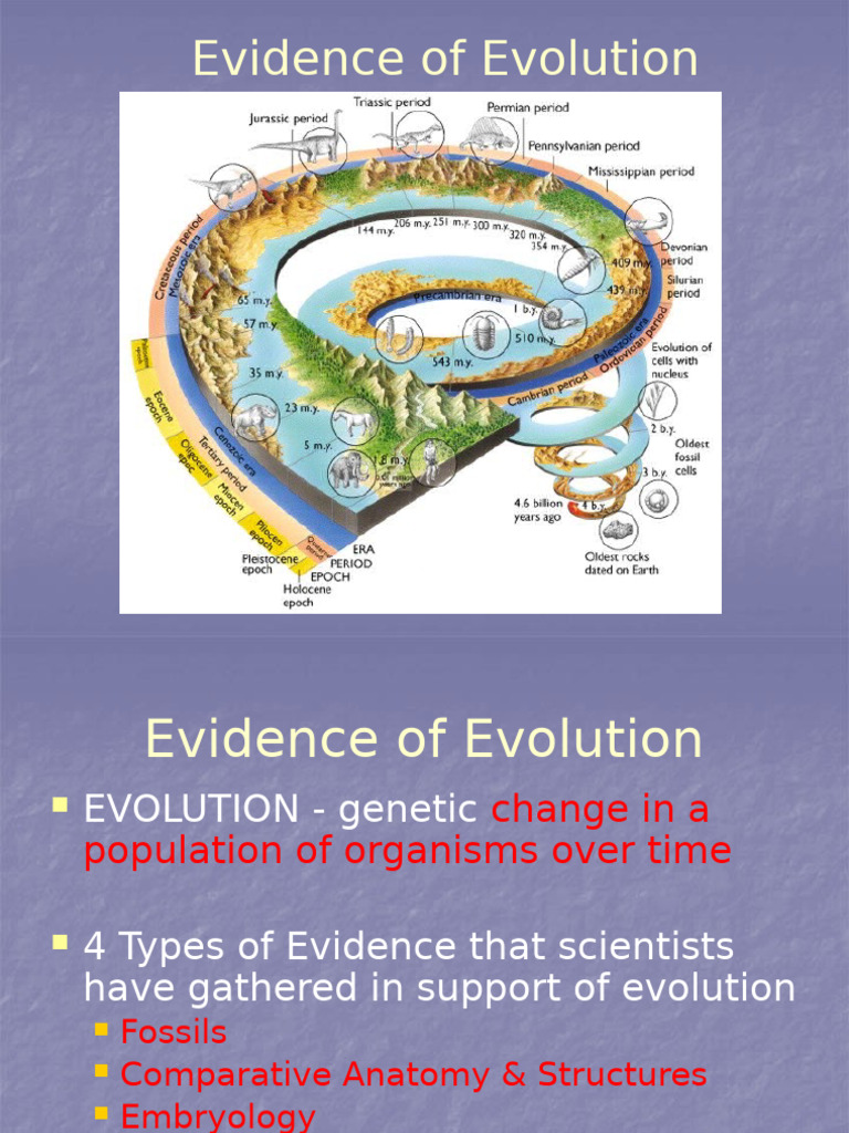 Lesson 6 Evidence of Evolution | PDF