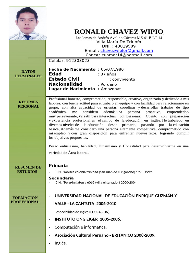 Curriculum Ronald 2023 | PDF