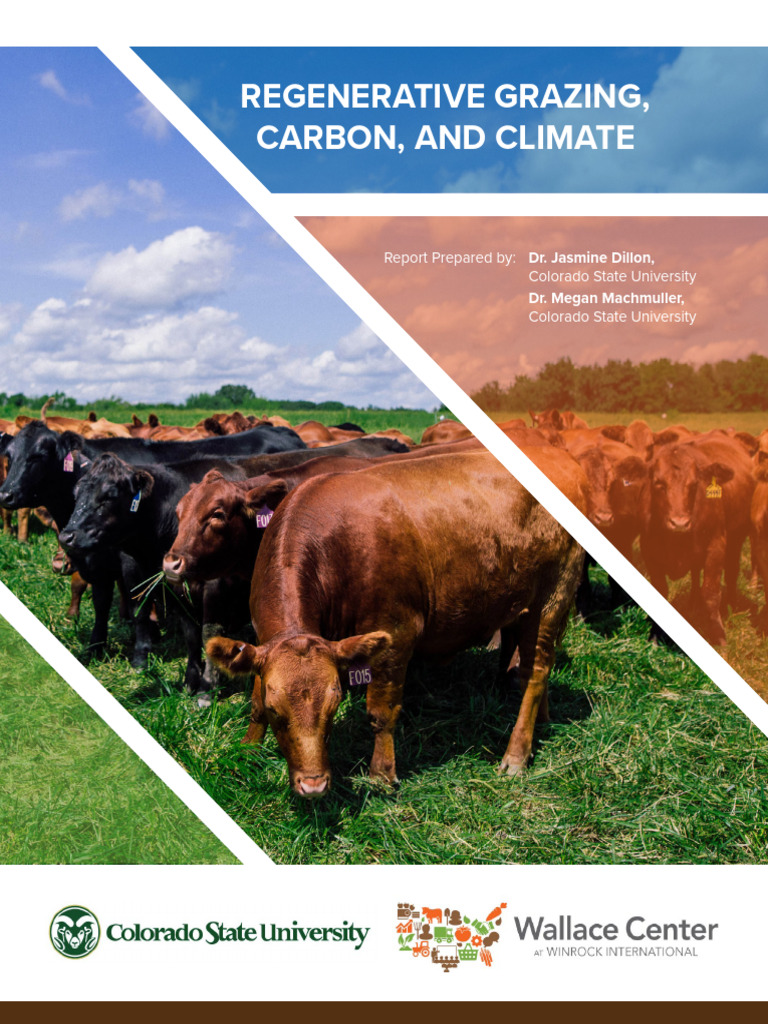 Regenerative Grazing and Carbon | PDF | Soil | Science & Mathematics