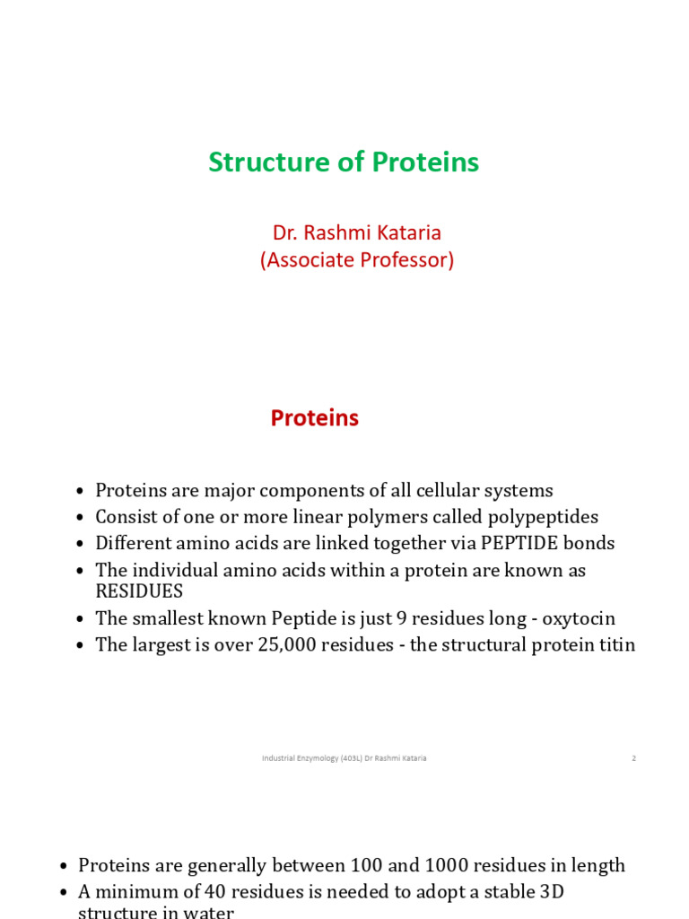2-Protein Structure, Types, Interaction Between Enzyme-18-07-2024 | PDF