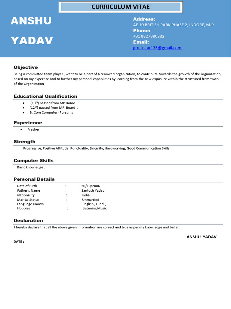 ANSHU Resume | PDF