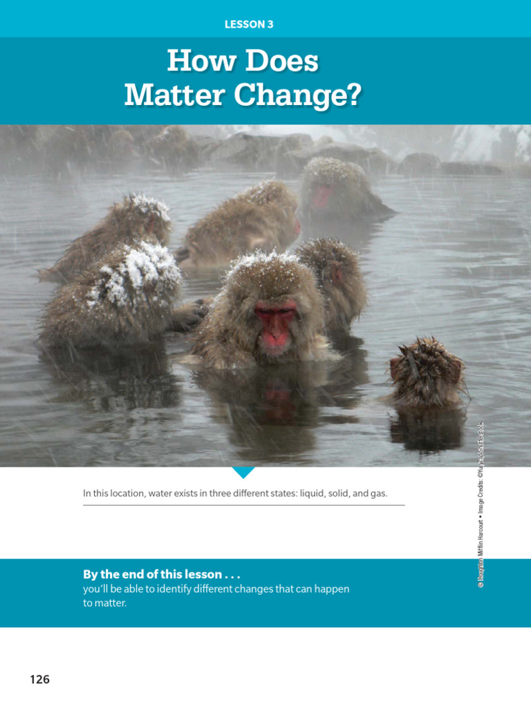 How Does Matter Change?: Lesson 3 | PDF