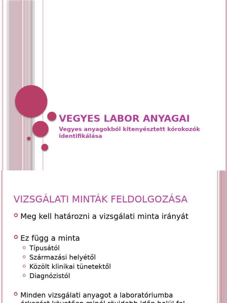Vegyes Labor Anyagai | PDF