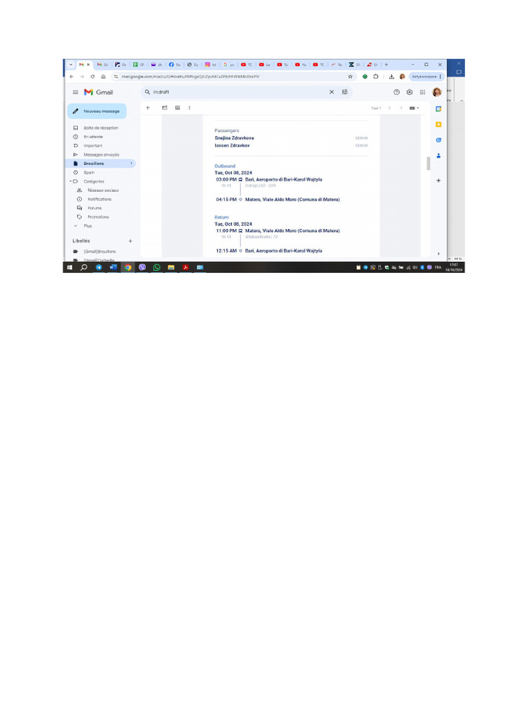 Ticket Printscreen | PDF