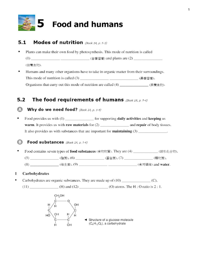 bio_5_food_humans | PDF
