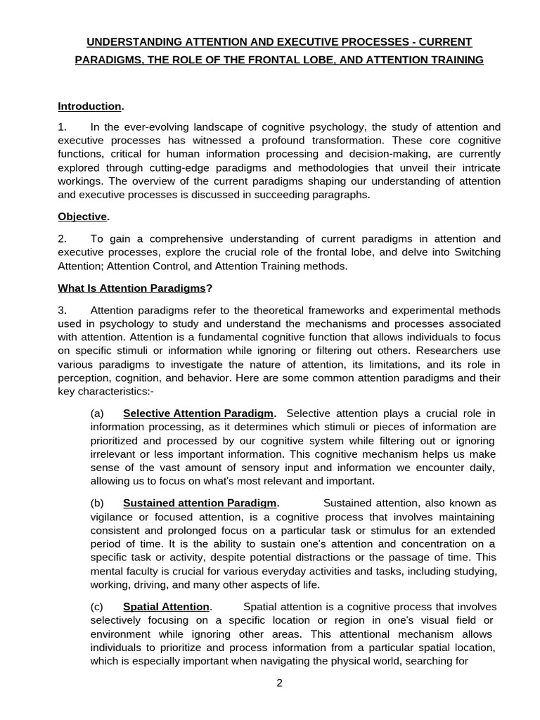 UNDERSTANDING ATTENTION AND EXECUTIVE PROCESSES | PDF