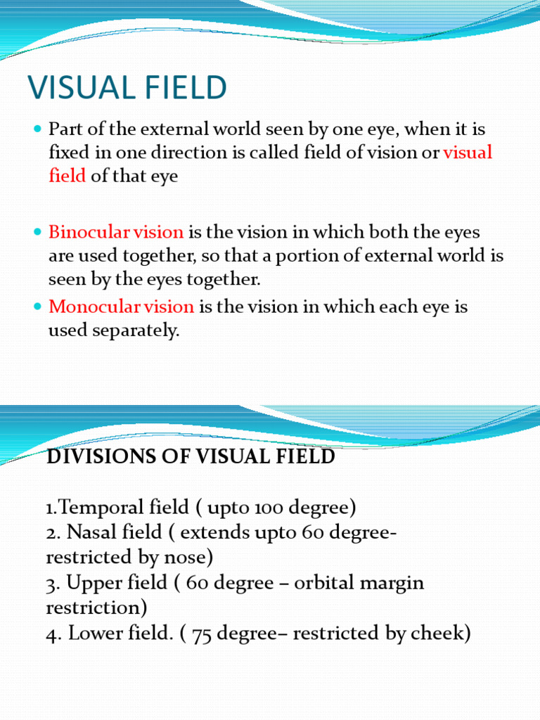 Part 2 Vision | PDF