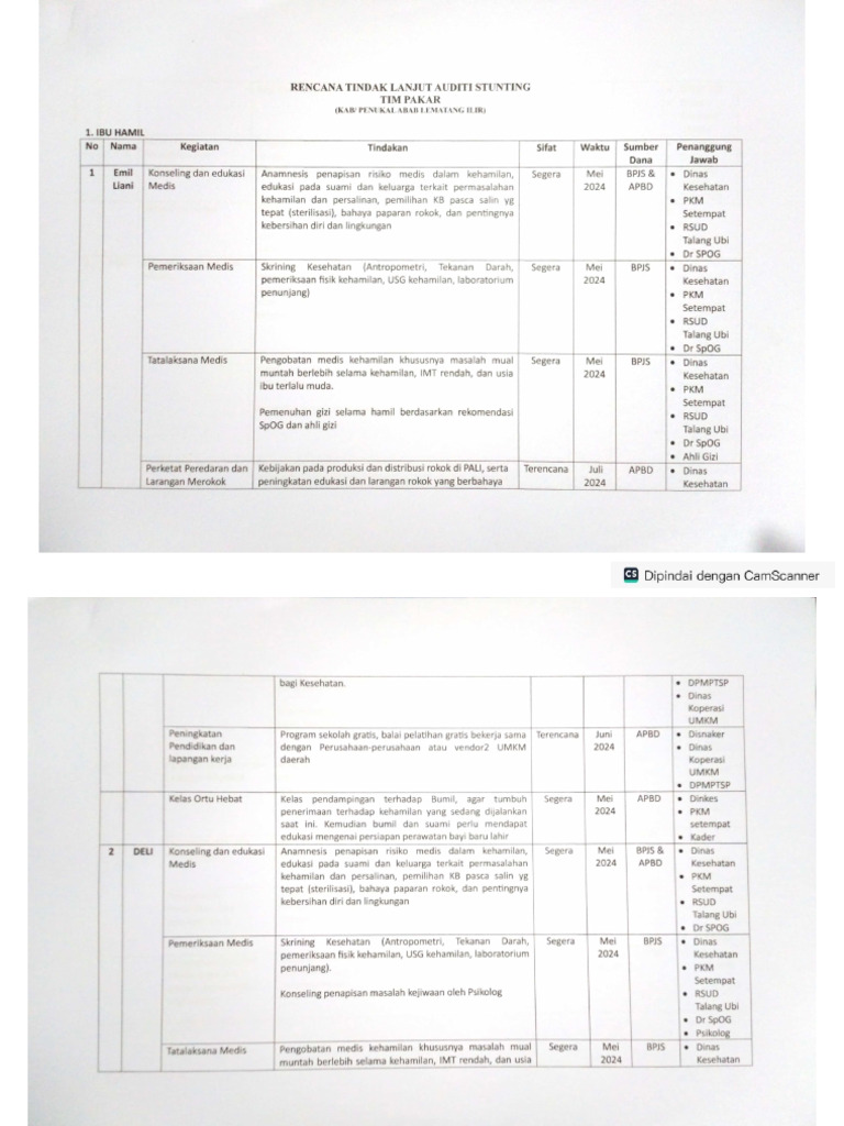 Rtl Audit Stunting Pdf